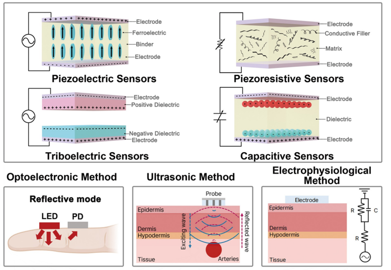 AI Algorithms for Real-Time Analysis of Wearable Blood Pressure Sensor Data