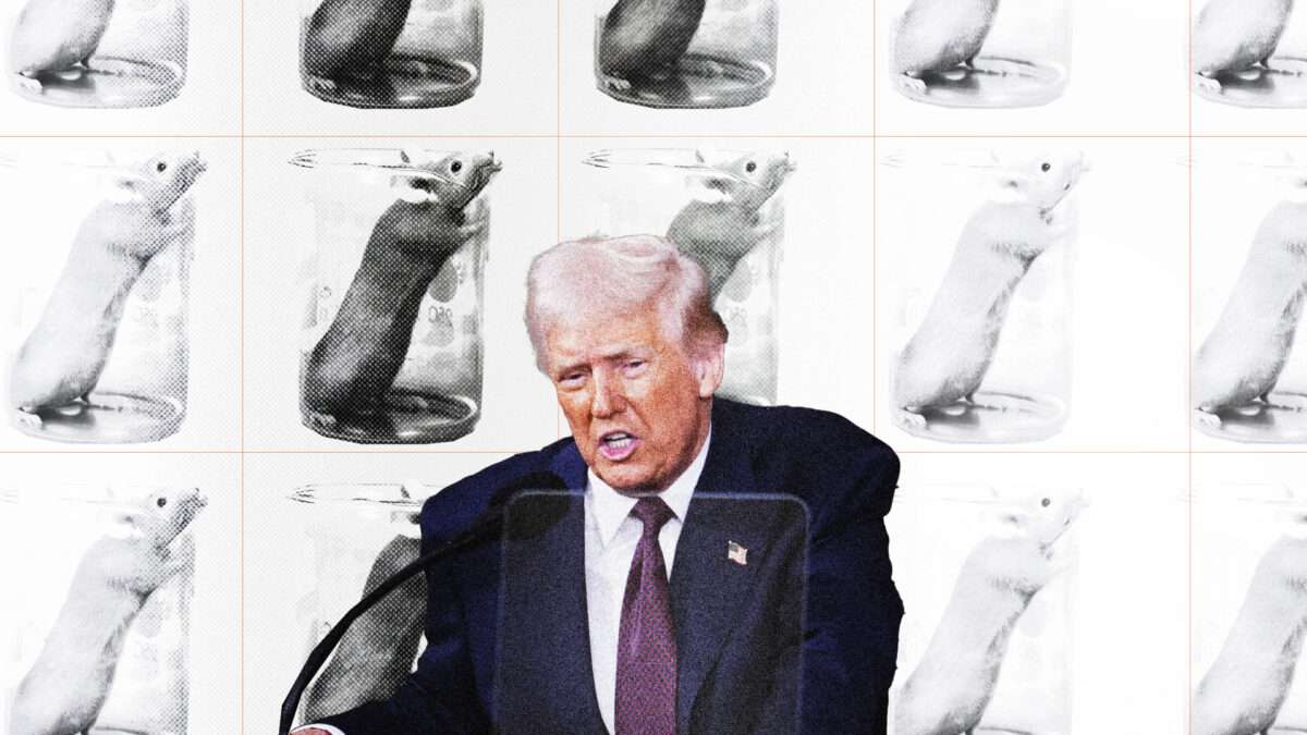 No, HHS Didn't Spend $8 Million 'Making Mice Transgender'