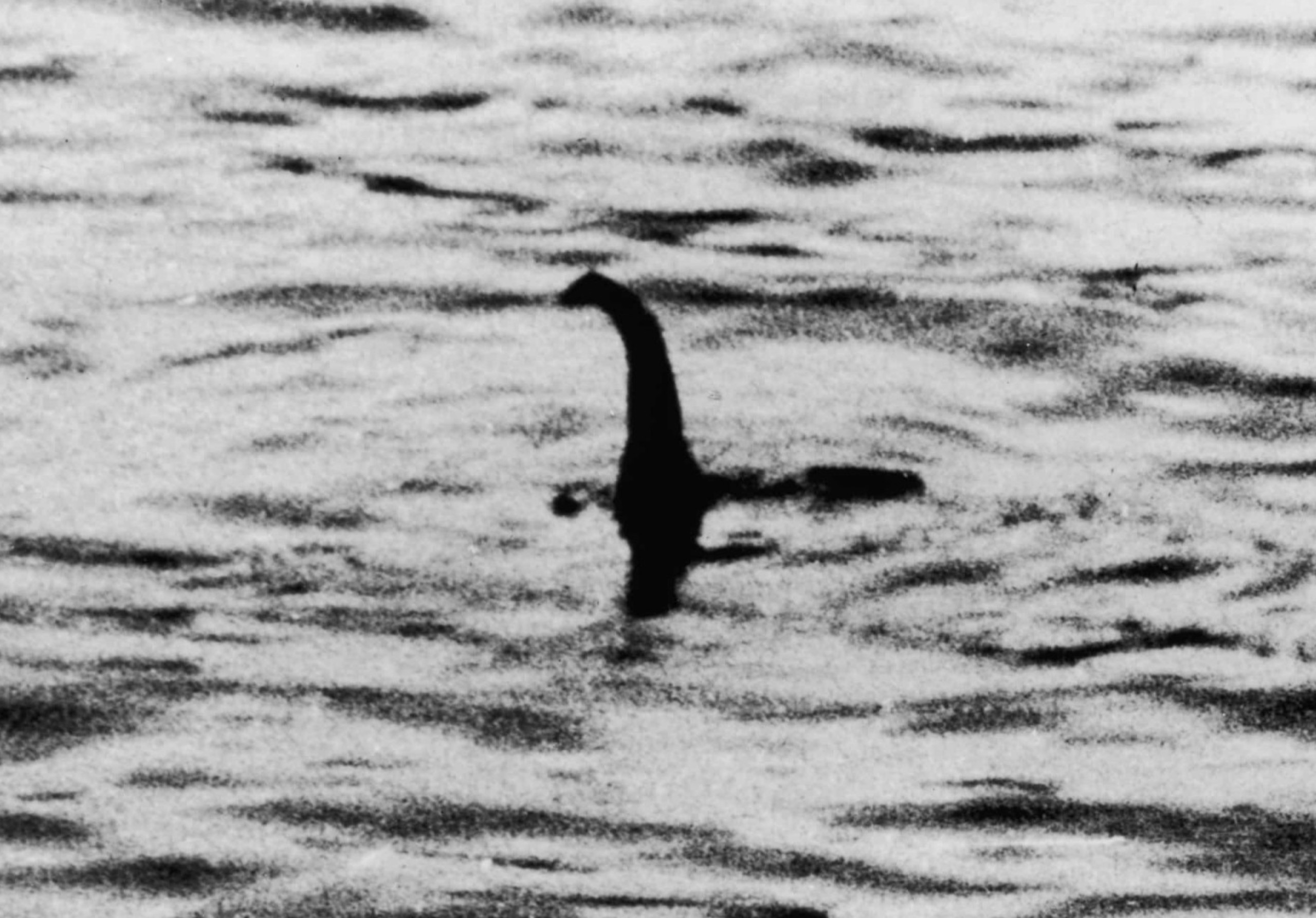 Reports in of first Loch Ness Monster sighting of the year