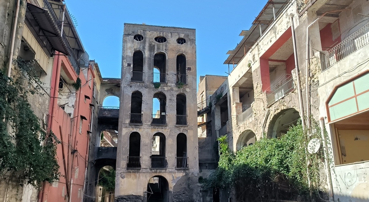 Torre Annunziata, le immagini dell'interno di Palazzo Fienga: come è ...