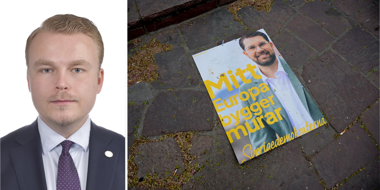 Tidigare SD-ledamot döms för ringa narkotikabrott