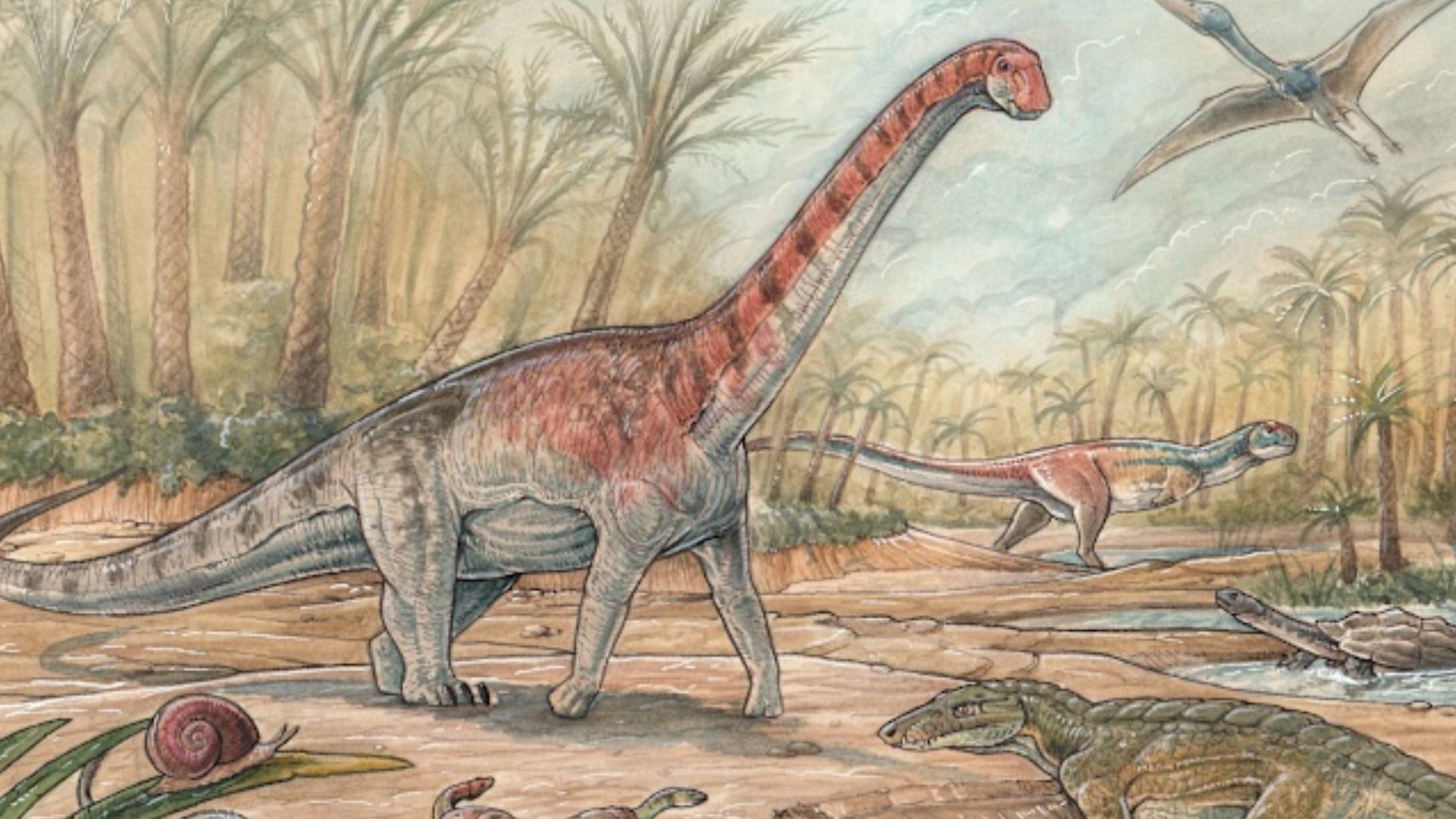 ‘Titan of the salt’: 78-million-year-old giant dinosaur discovered in ...