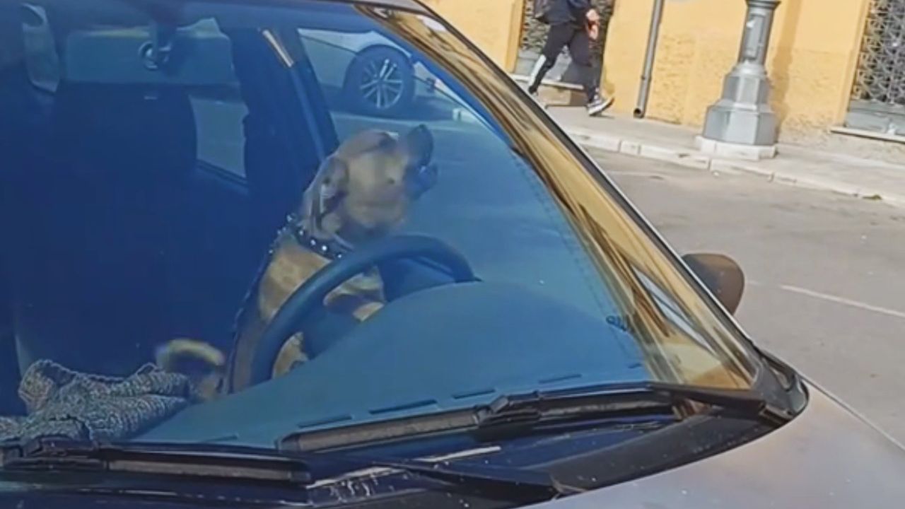 Renaud, 72 ans, au plus mal ? Axelle Red sans fard sur sa santé, "Je ...