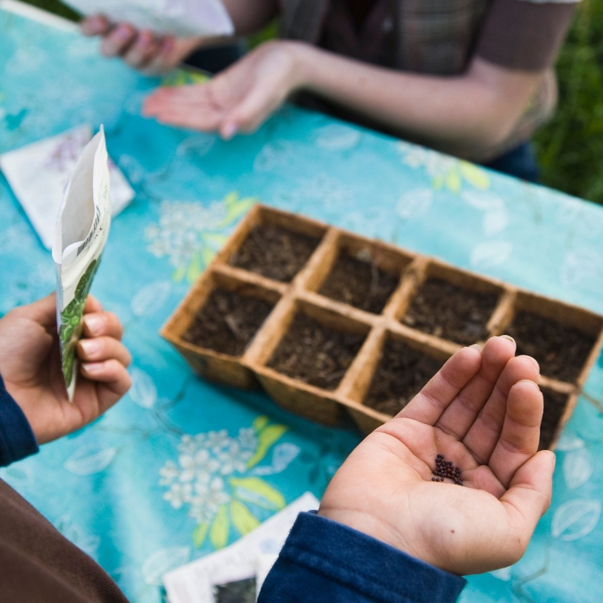 Free seed libraries in Minnesota