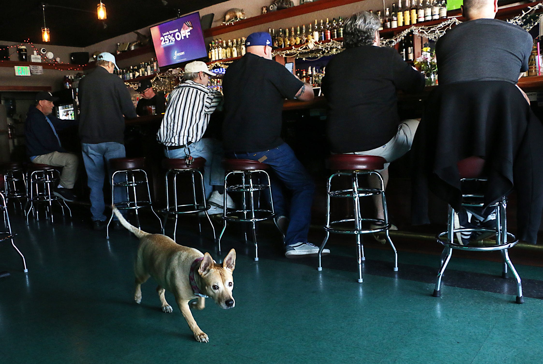 St. Patrick's Day guide in Reno: Where to get draft Guinness, cheap ...