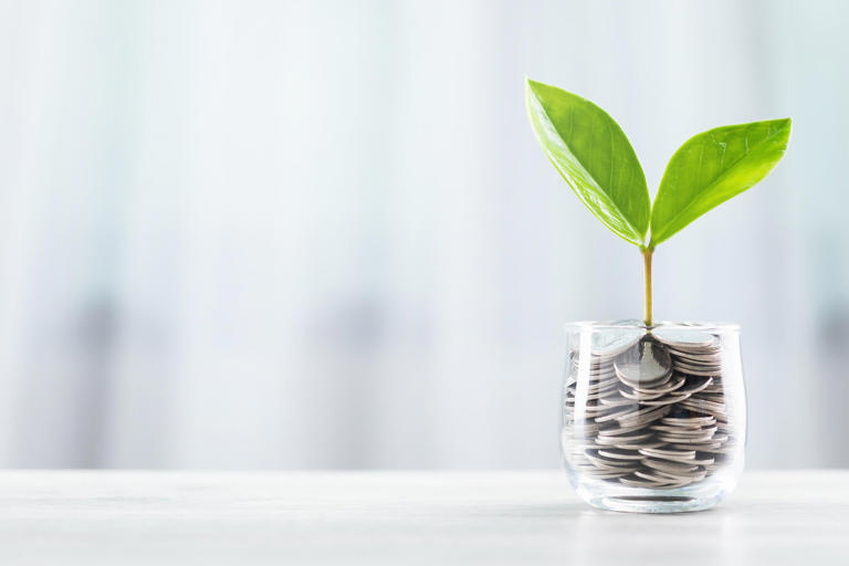 CD account strategies for this March: What experts think you should do