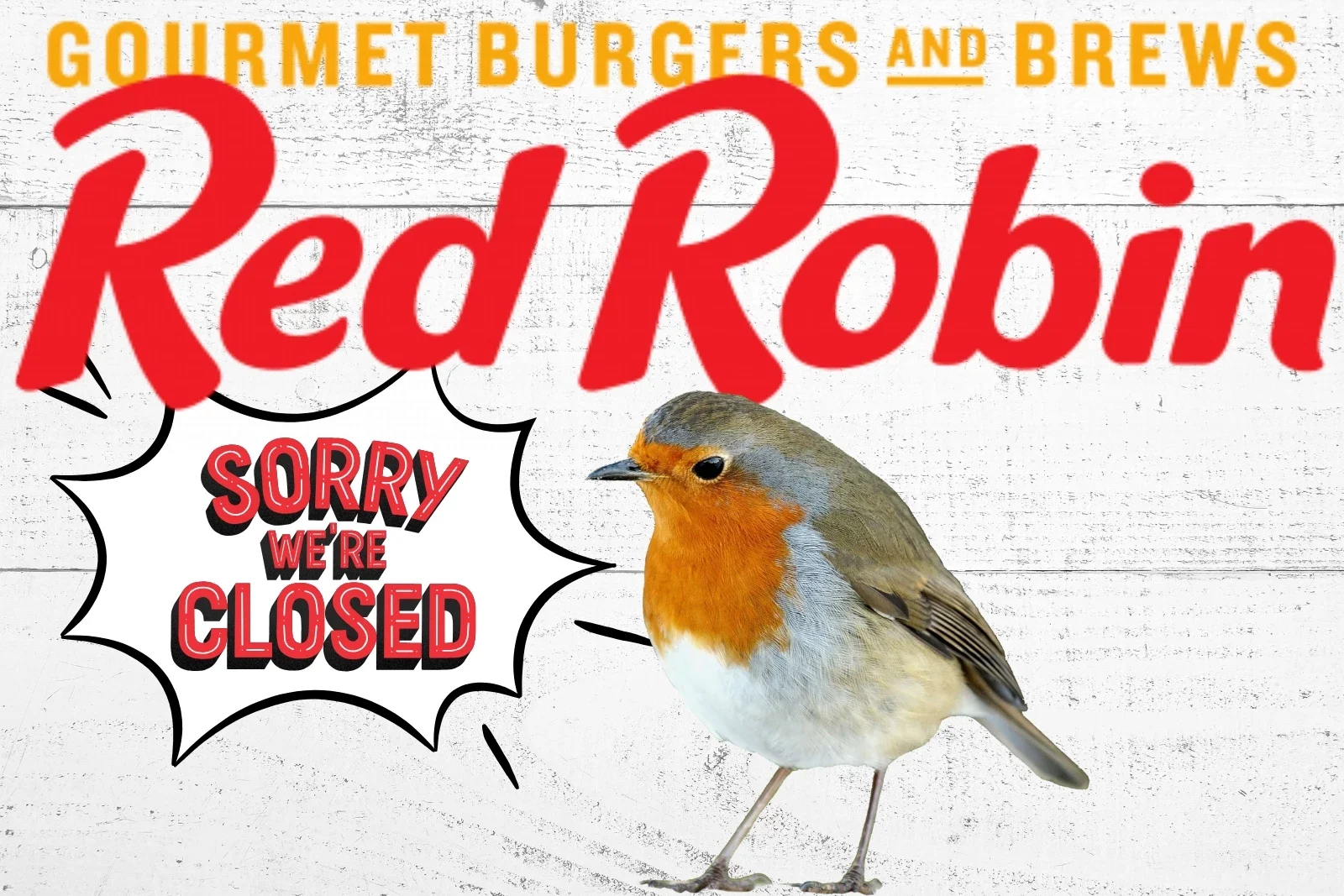 Shocker! Red Robin Shutting Down Locations Amid Financial Losses