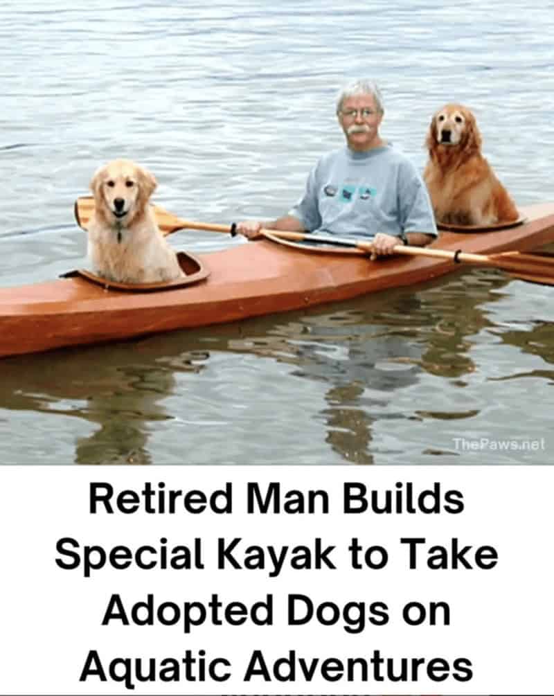 40 Funny Dog Memes That’ll Have You Howling With Laughter (March 6, 2025)