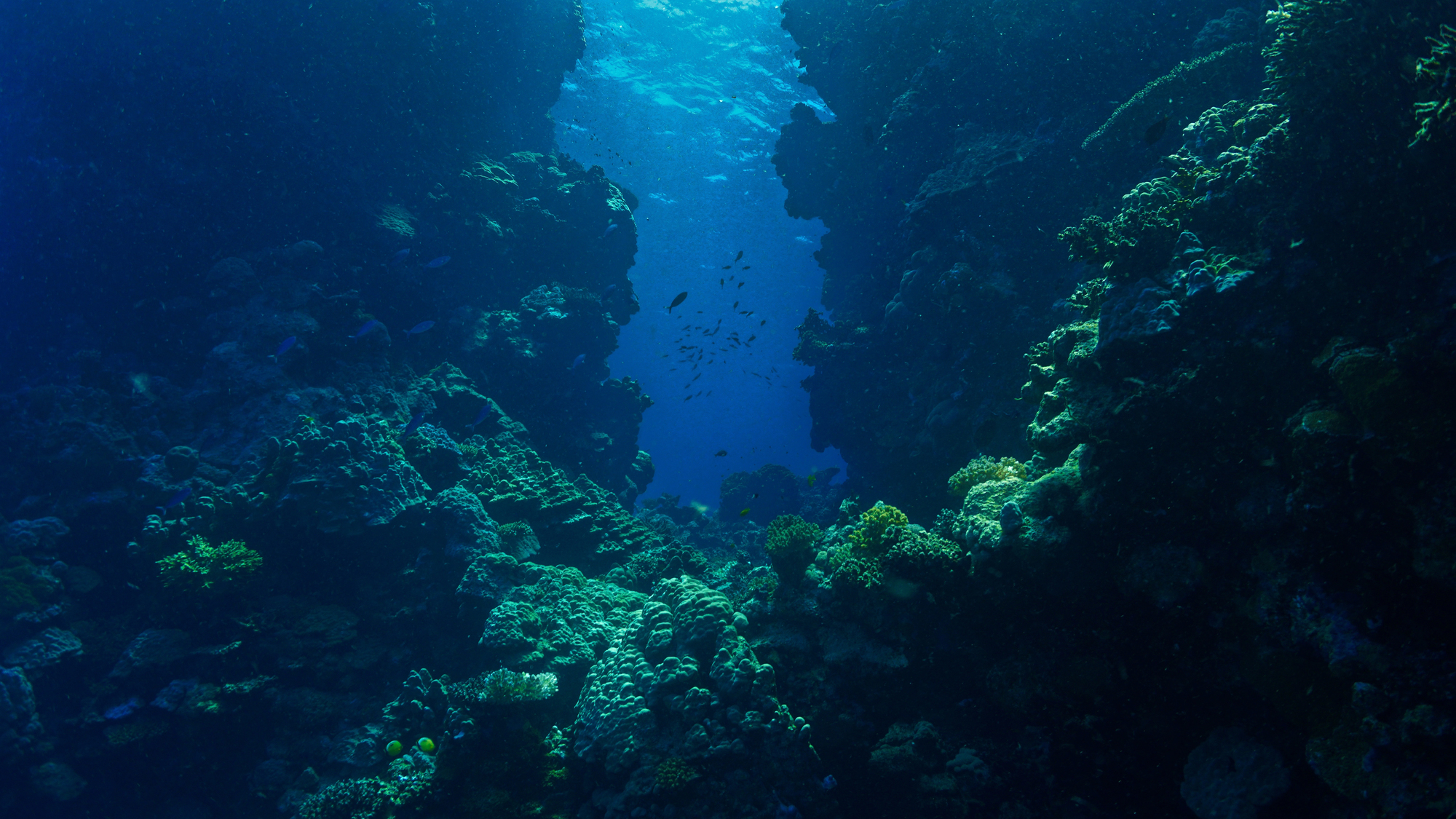 20 Deep-Sea Discoveries That Raise Unsettling Questions