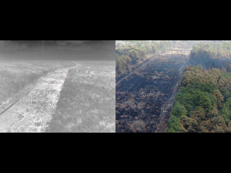 Carolina Forest wildfire now 65% contained, forestry commission says