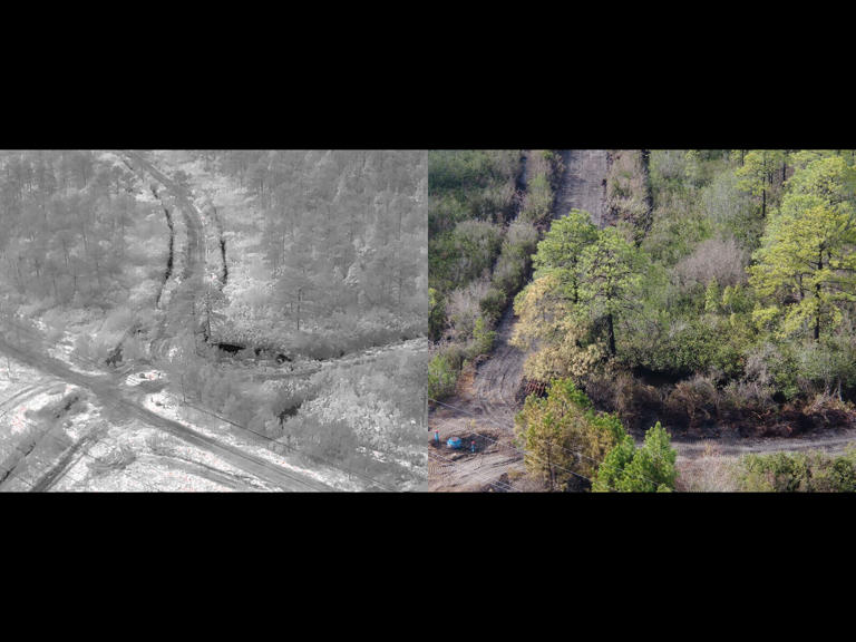 Carolina Forest wildfire now 65% contained, forestry commission says