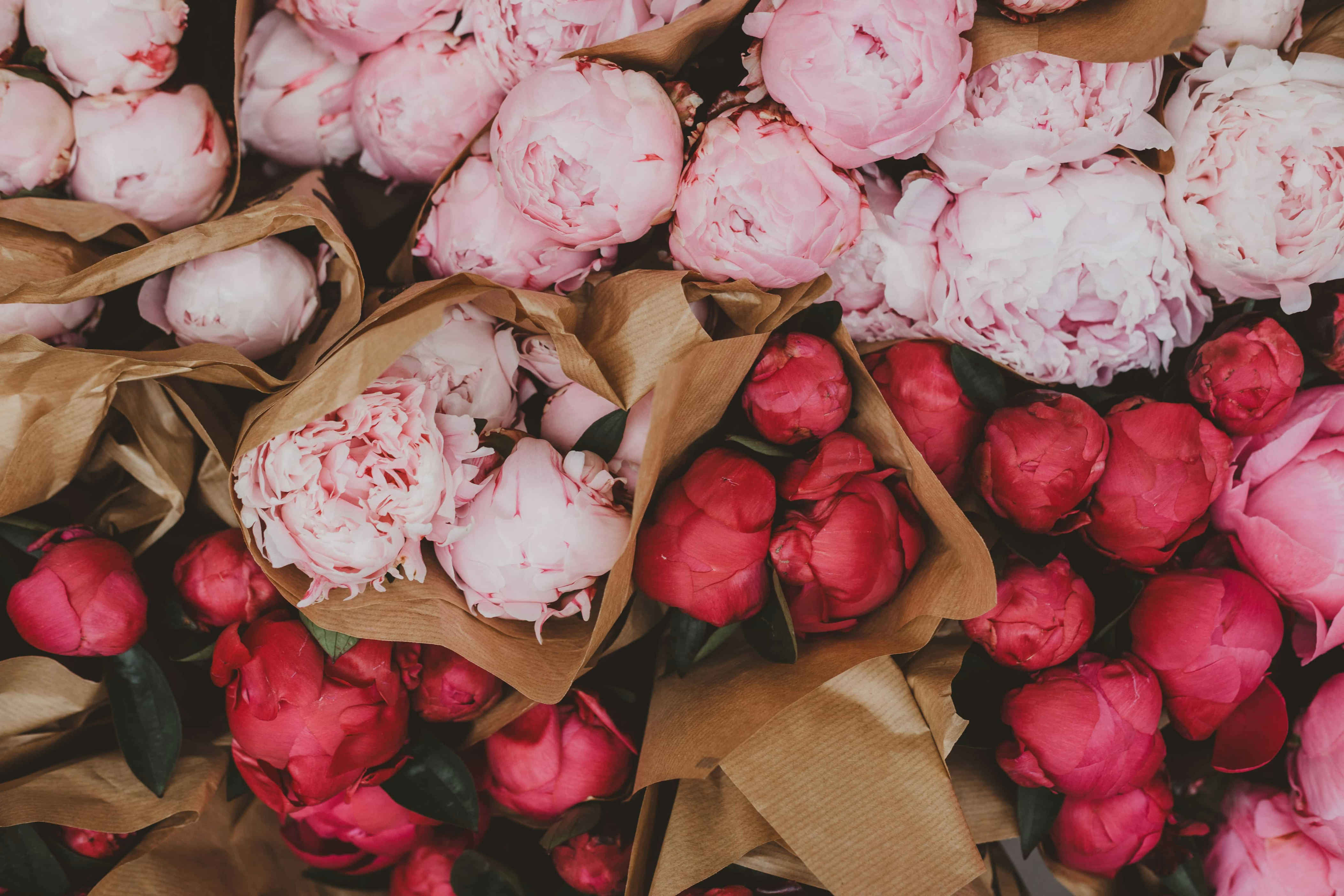 A Girlfriend's Guide to the Indiana Peony Festival
