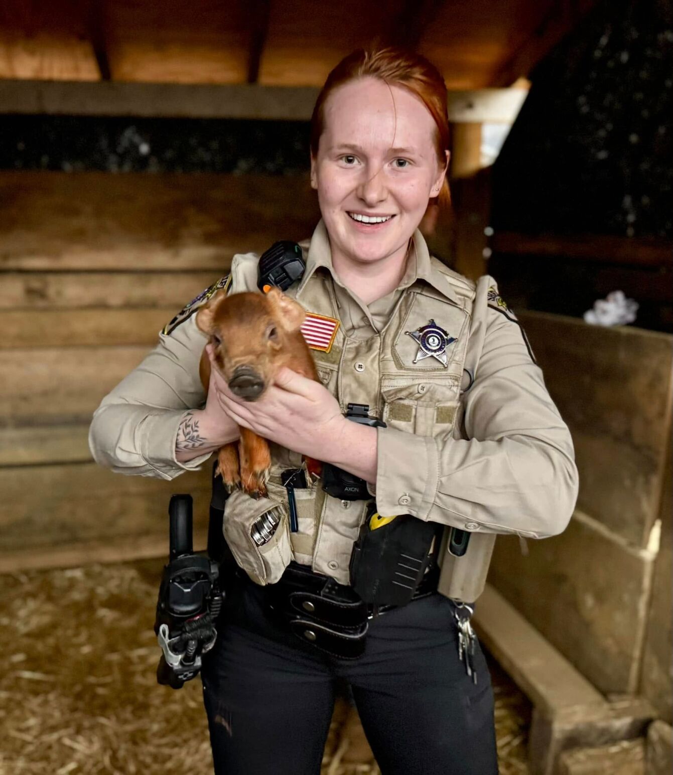 'Pigture perfect job': Stafford County deputy helps mama pig in a ...