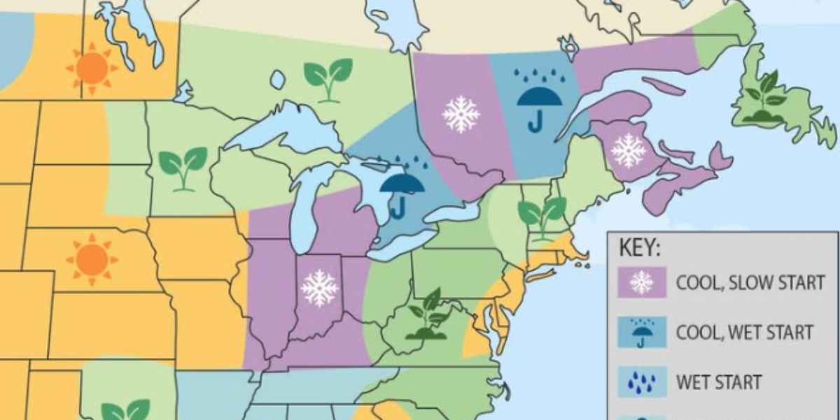 The Old Farmer's Almanac Reveals the Best Time to Get Your Spring ...