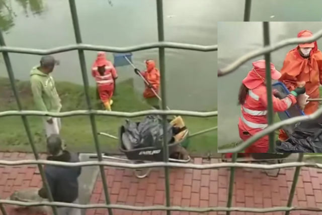 Preocupación en Bogotá por muerte masiva de peces en el Lago Timiza de ...