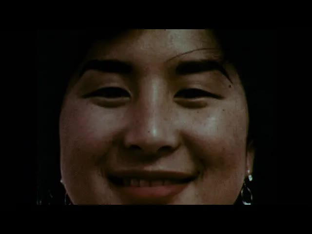 A Communications Primer (1953)