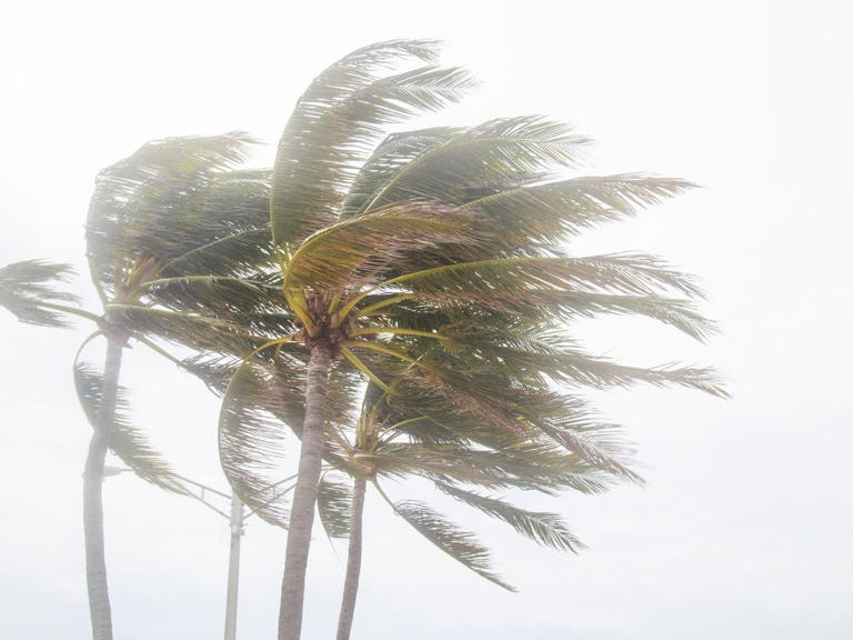 Windblown Dust, Air Quality Warnings Issued In Palm Desert