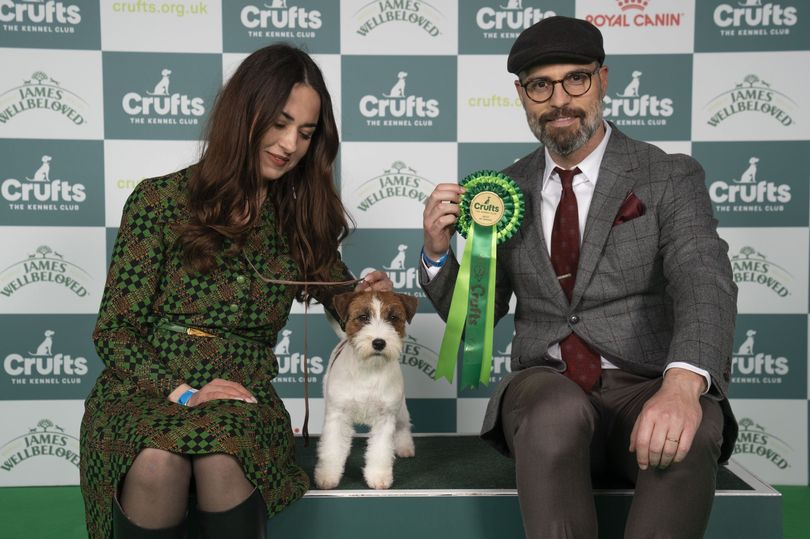 Crufts 2026 day 2 terrier and hound groups - full schedule and what to ...