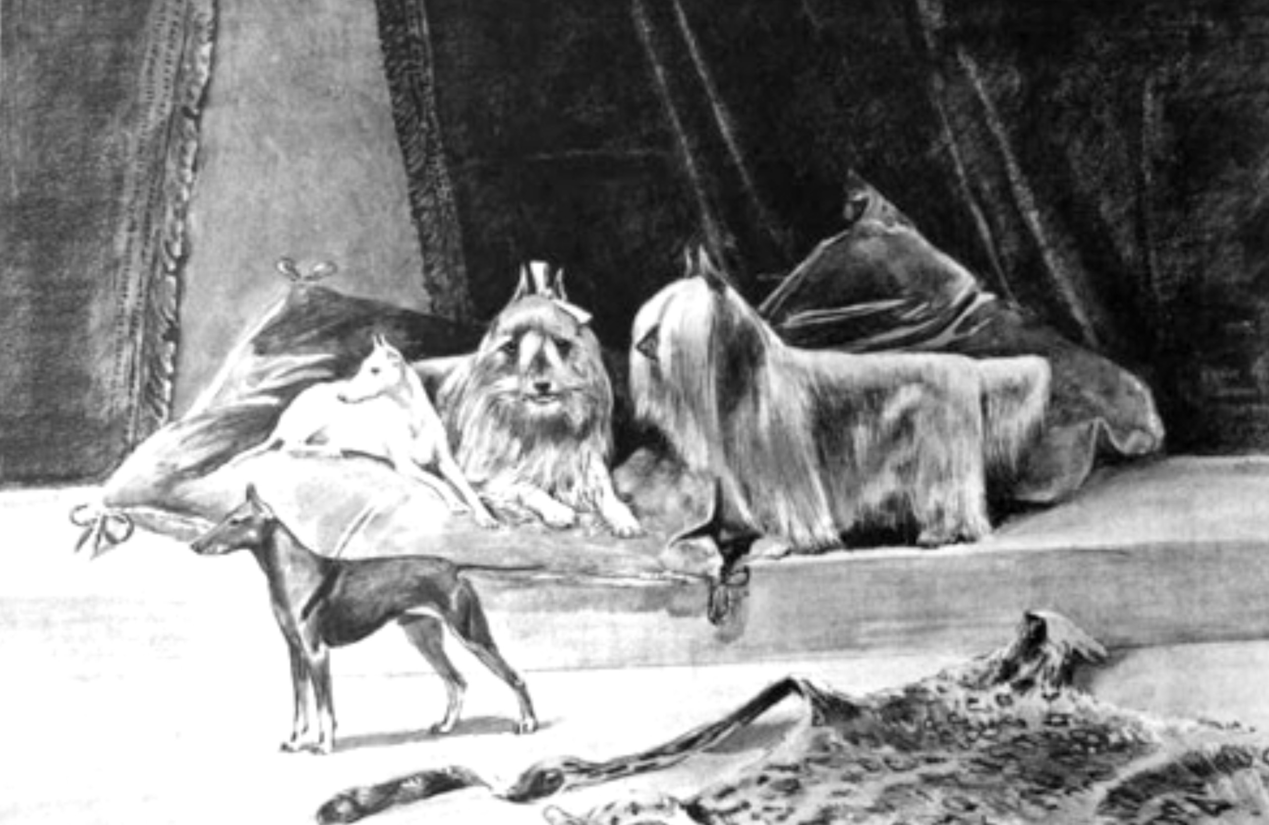 Food noise: what it is, and how to silence it