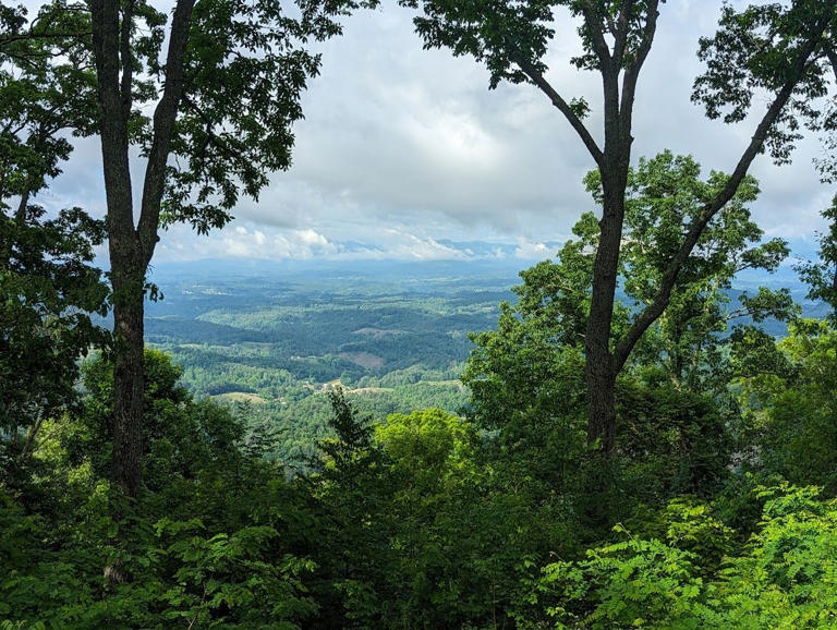 Mars Hill approves applications for 137-acre Bone Camp project funds