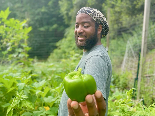 CT farmers face federal funding uncertainty just in time for spring ...