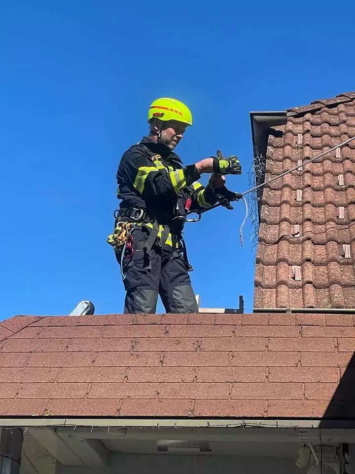 Samtpfote in Not: Feuerwehr rettet „Tiger“ vom Dach