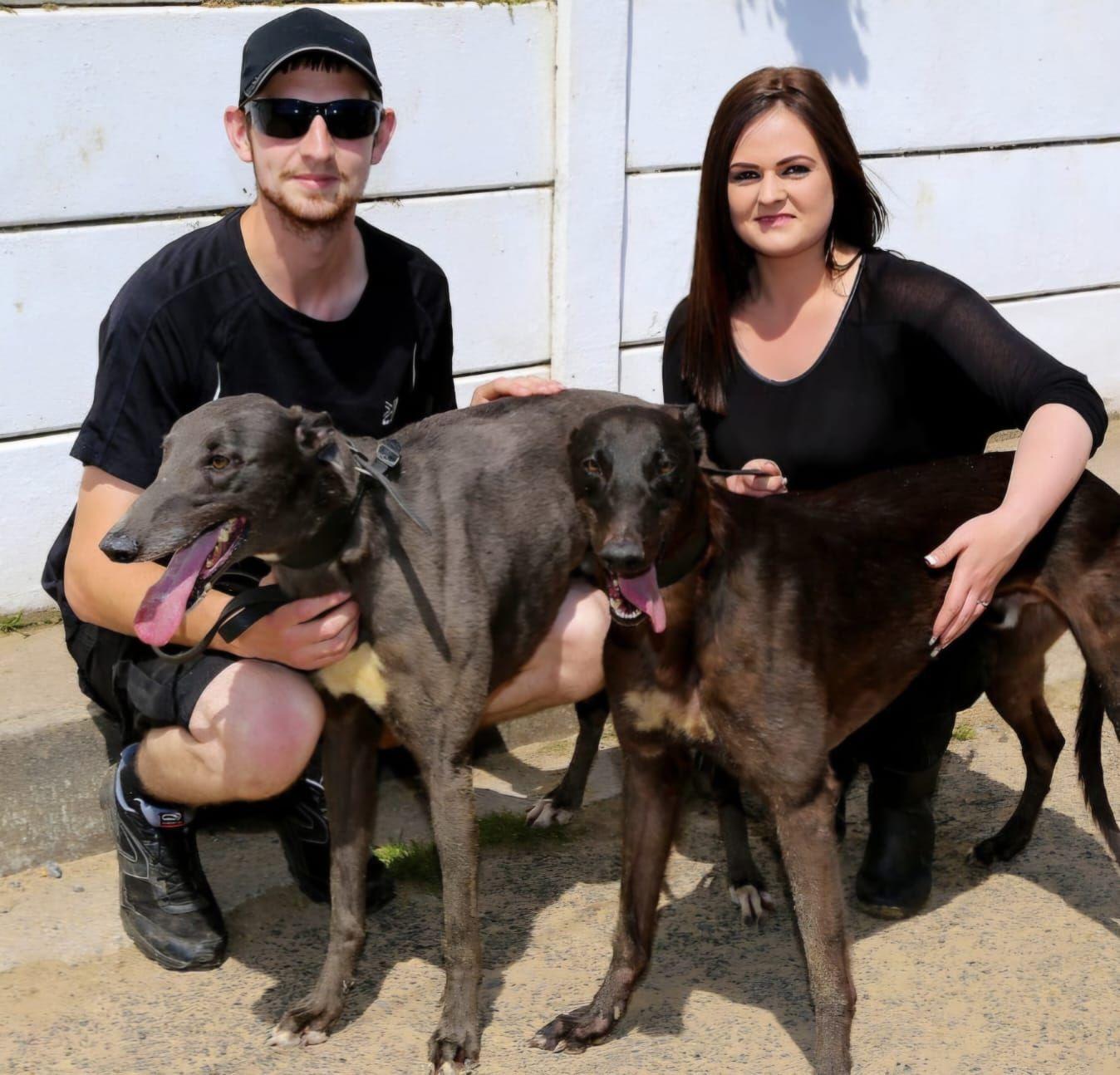 International Women’s Day: Celebrating the role of women in greyhound ...