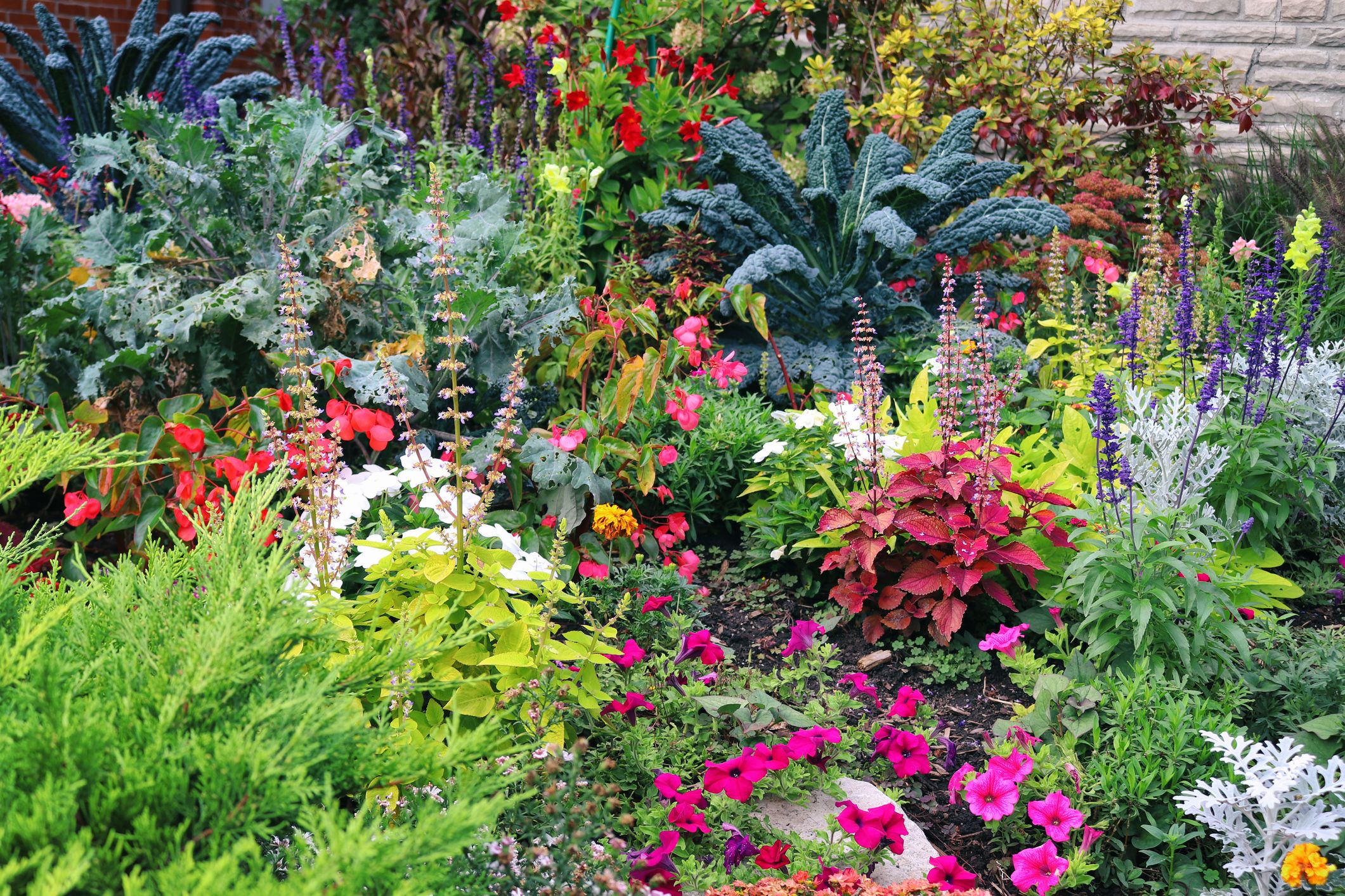 These Are the Best Shade-Loving Flowers and Plants for Your Yard