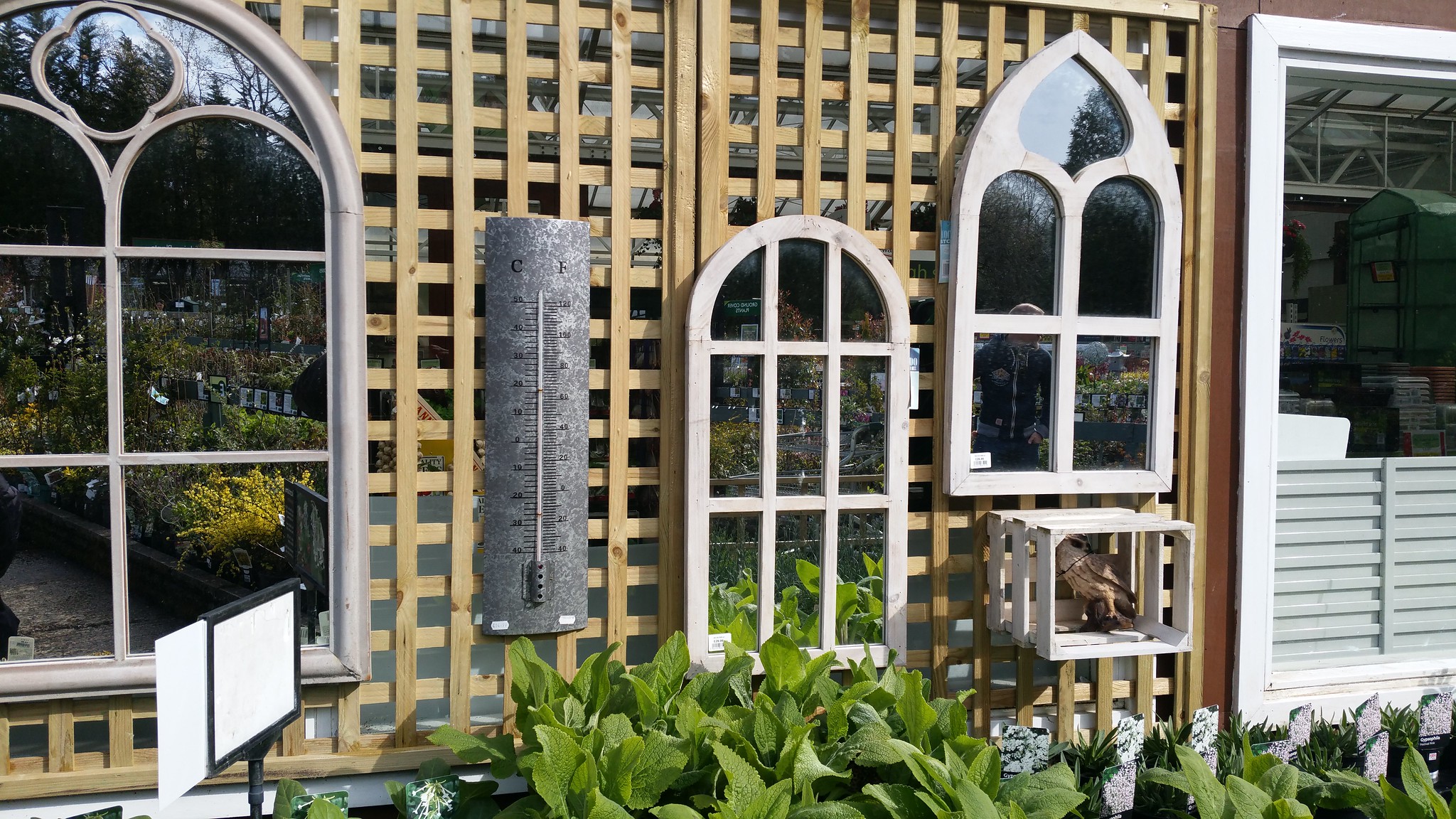 Affordable tricks for a glamorous garden