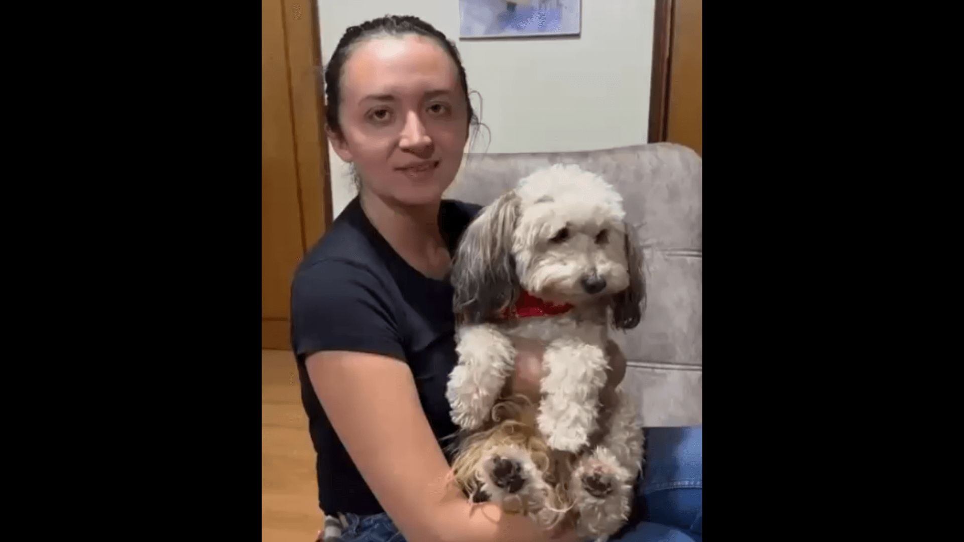 Videos: apareció Milo el perro que fue hurtado junto con un vehículo ...