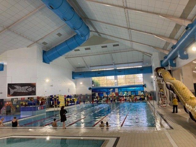 Rotary SwiMarathon is a huge success - again!