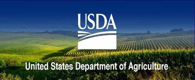 USDA employee in Nevada loses job to DOGE cuts