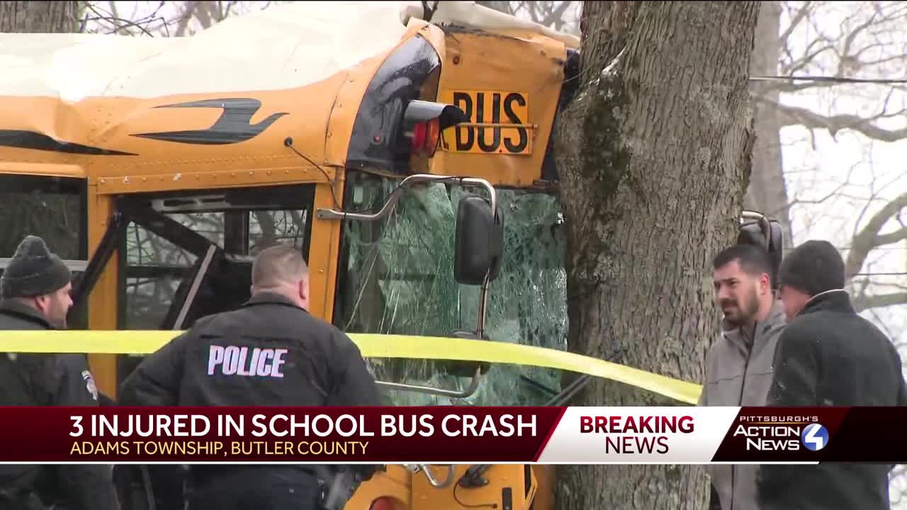2 students, driver rushed to hospital after school bus crashes into tree