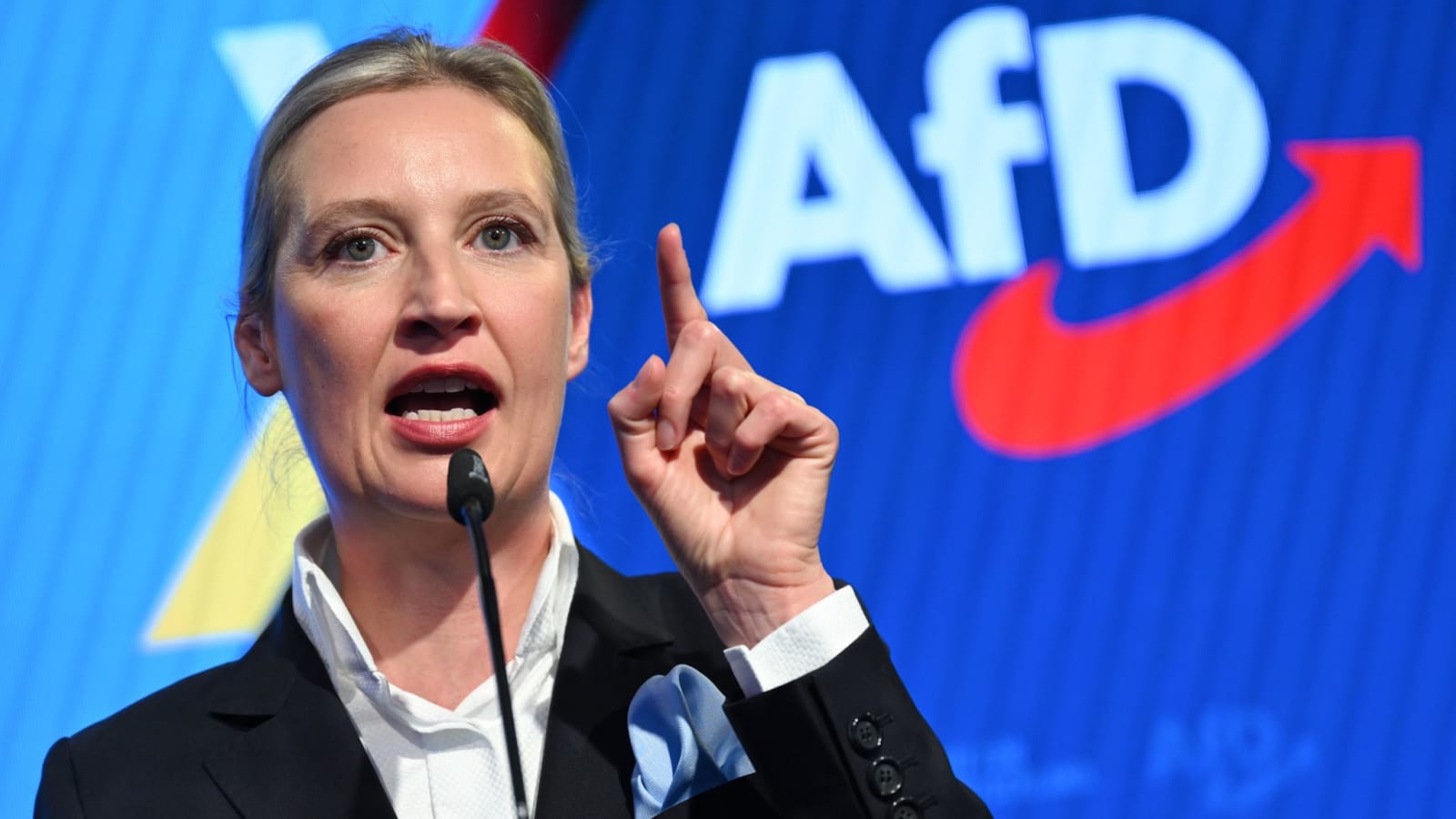 Germany’s AfD seeks talks with Le Pen on European defence