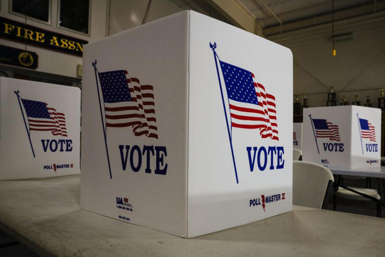 Democrats and Republicans call for changes to the voting system