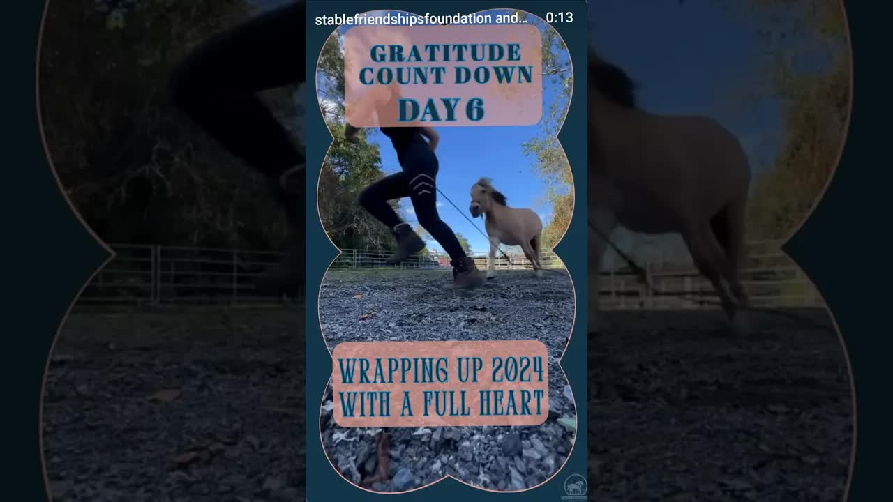 Stable Friendships Foundation: Gratitude Countdown Day 6