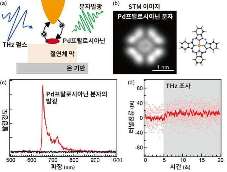 Gist 빛 이용한 초고속 전하 조작단일 분자 양자 상태 실시간 제어 성공