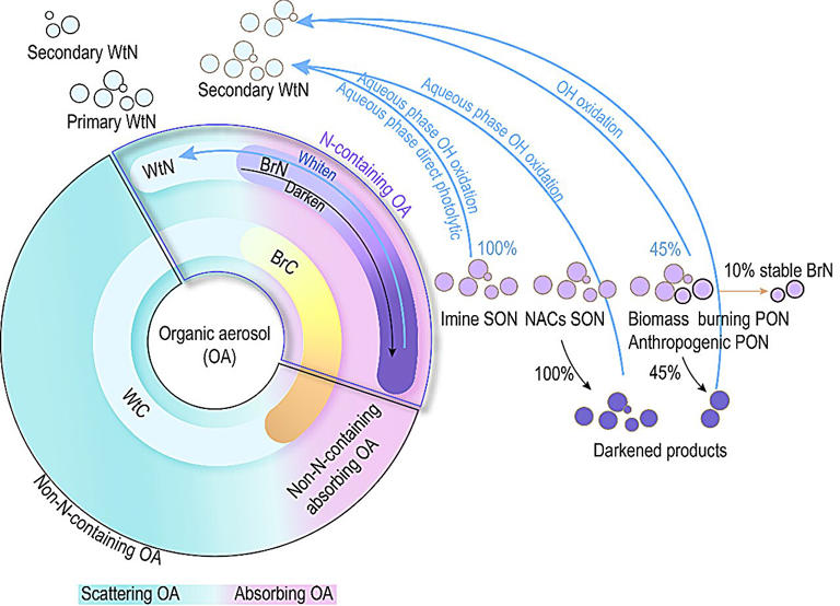 Nitrogen's dominant role in global organic aerosol absorption revealed