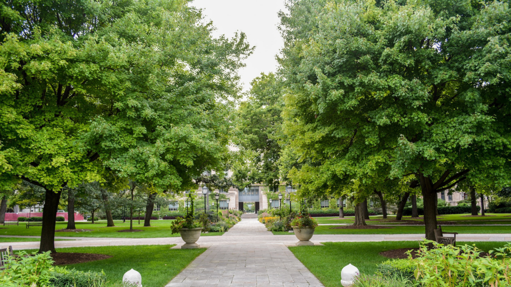 Explore 11 of Chicago's Most Authentic Neighborhoods