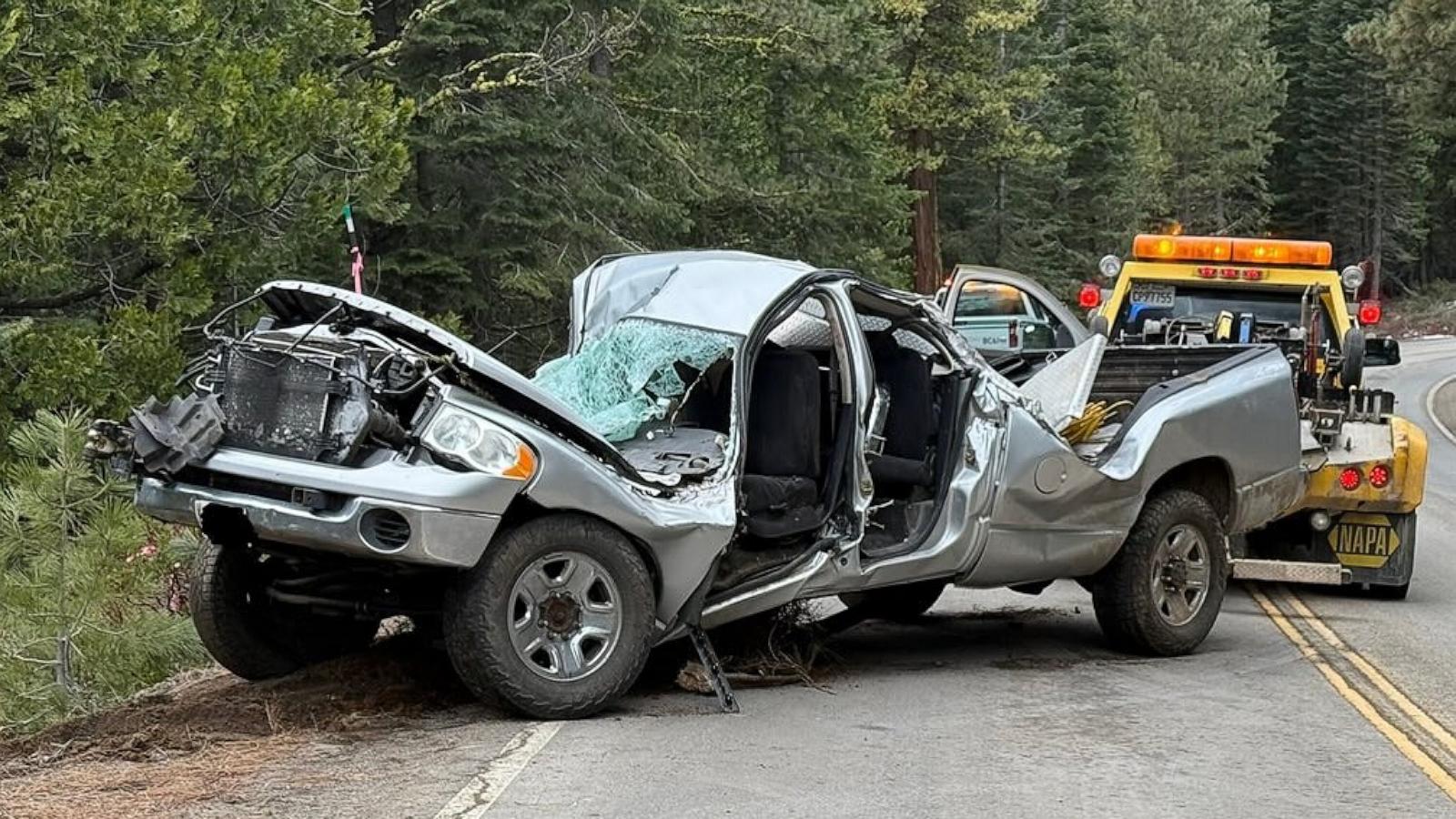 Driver and dog spend night trapped in crushed pickup truck, rescued ...
