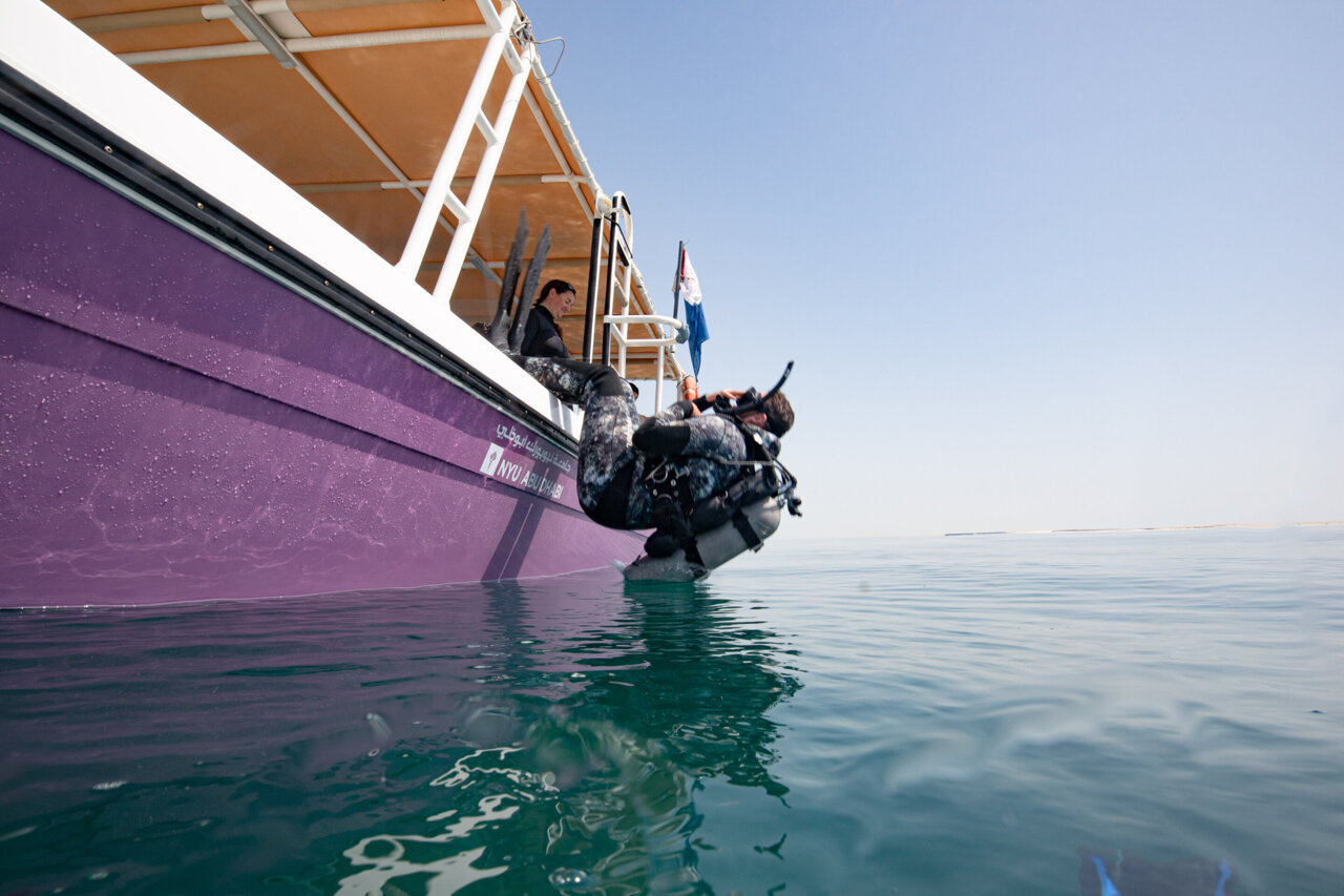 Fish in the world's hottest reef ecosystem show greater thermal ...