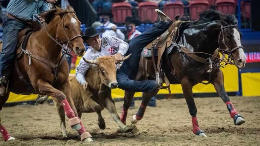 Superstar NFR Steer Wrestling Mount Making Comeback Debut This Week