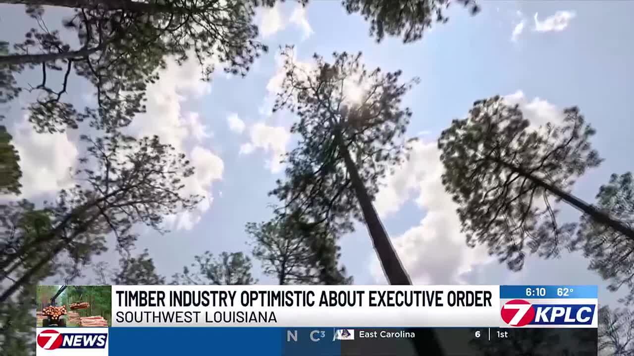 Timber industry optimistic about Trump administration’s executive order