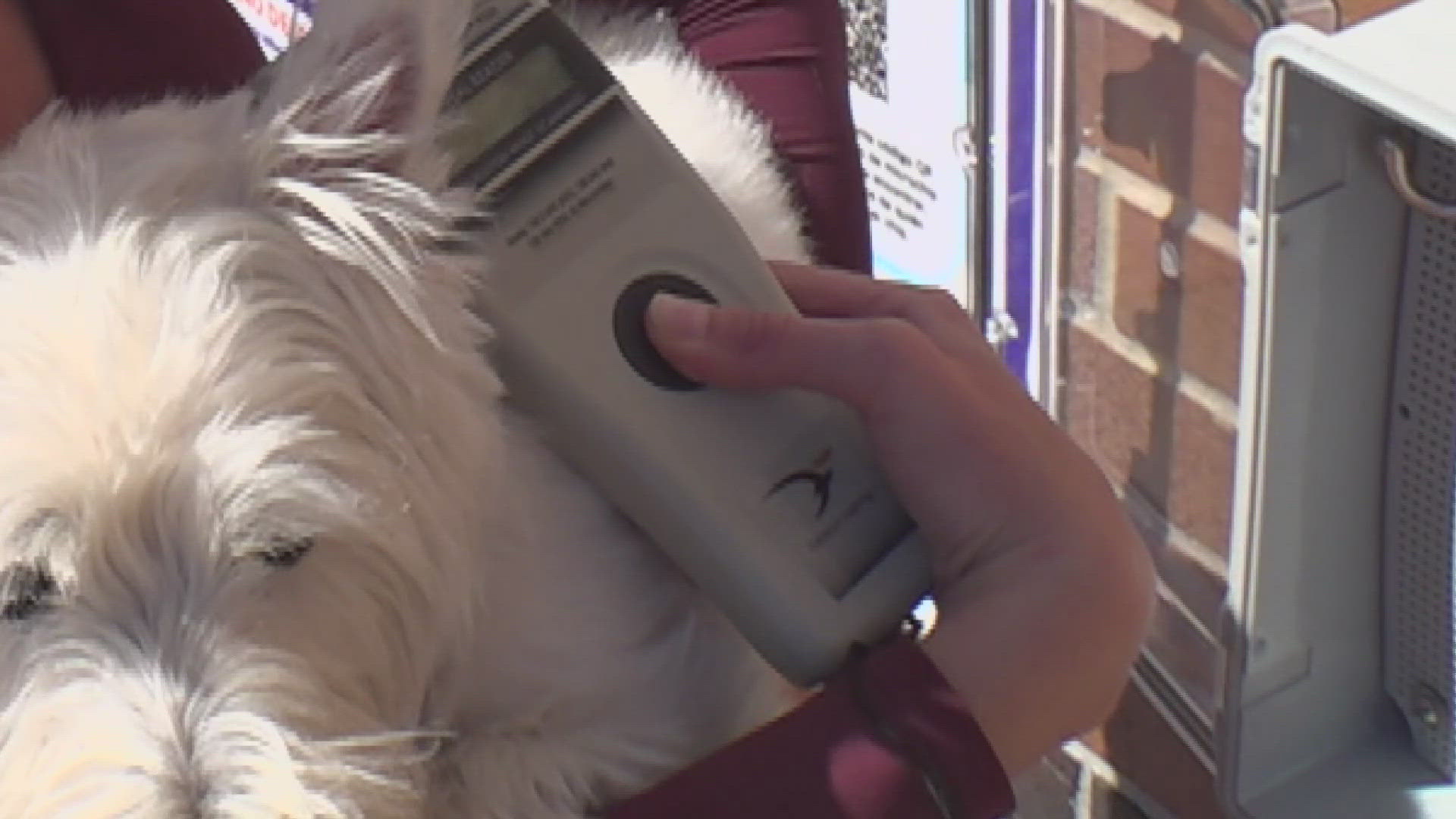 Lost Pet? Eastbank Library Offers New Microchip Scanning Stations for ...