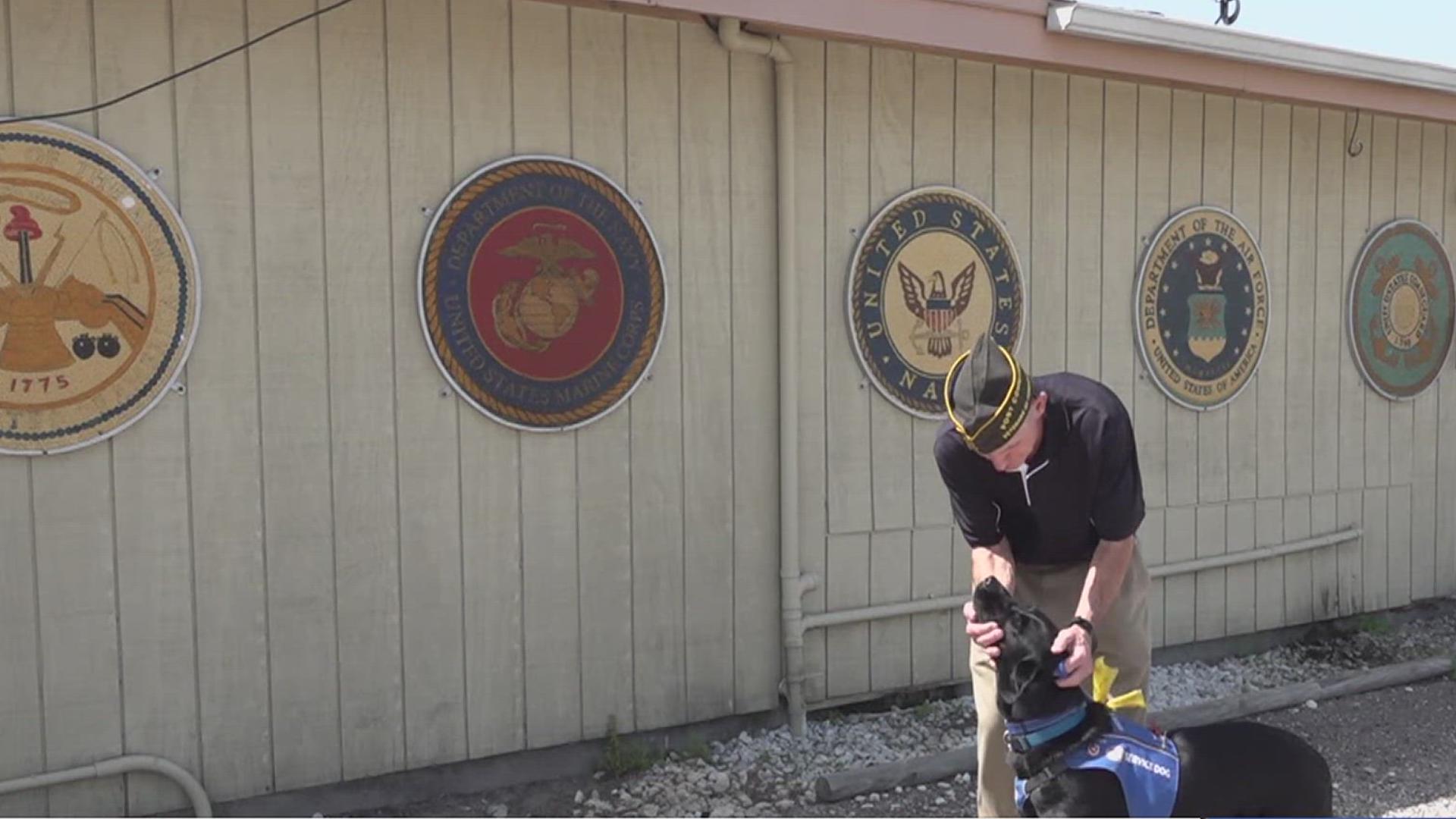 Local veterans impacted by national job cuts
