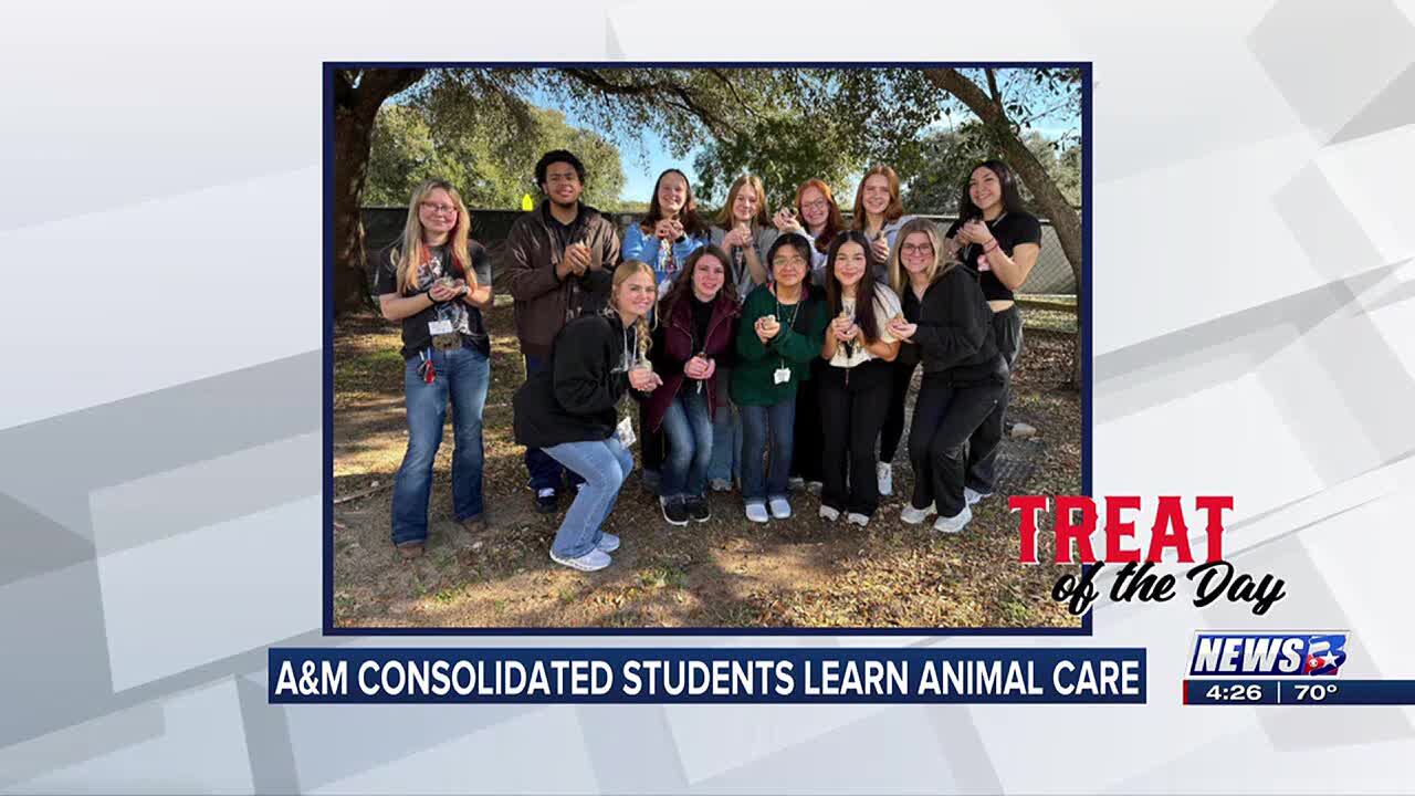 Treat of the Day: A&M Consolidated students learn animal care