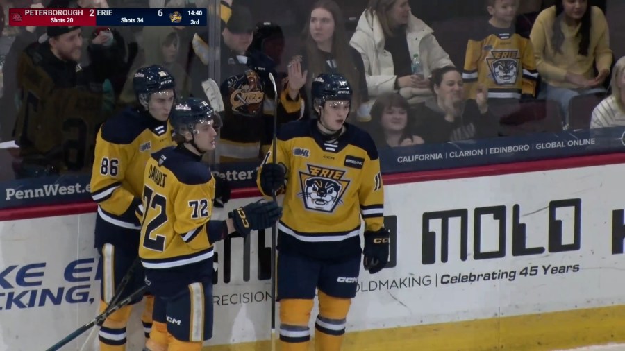 Erie Otters coaches, player suspended following scuffle