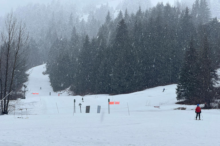 Experts and recovery teams hope to reach site of Alaska avalanche that ...