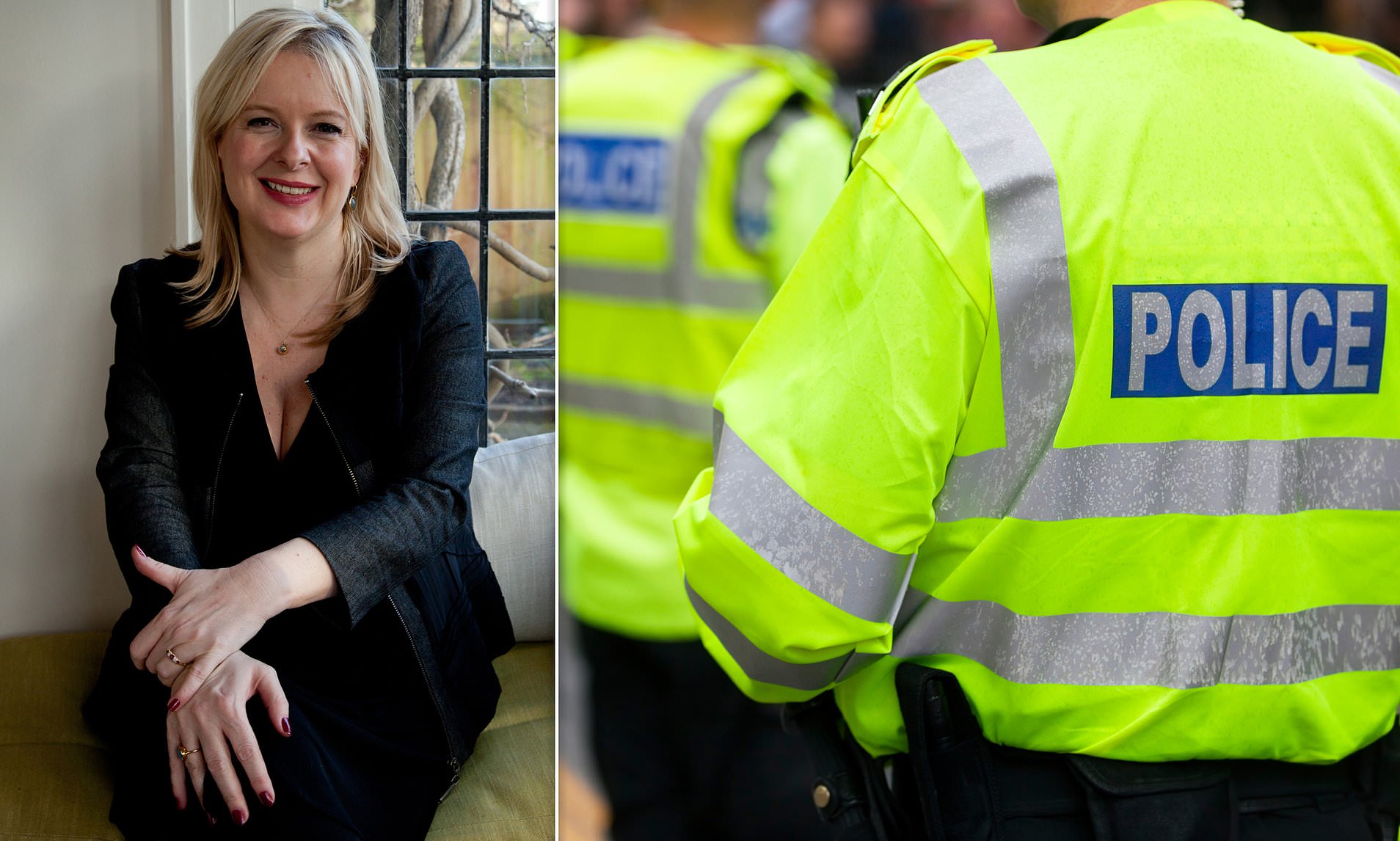 Police 'acted reasonably' by investigating journalist Allison Pearson