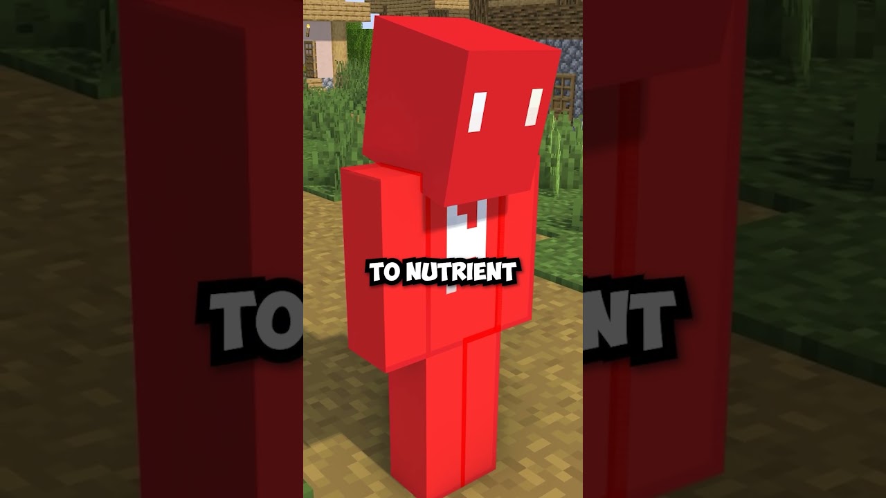 Skip The Tutorial - MSN